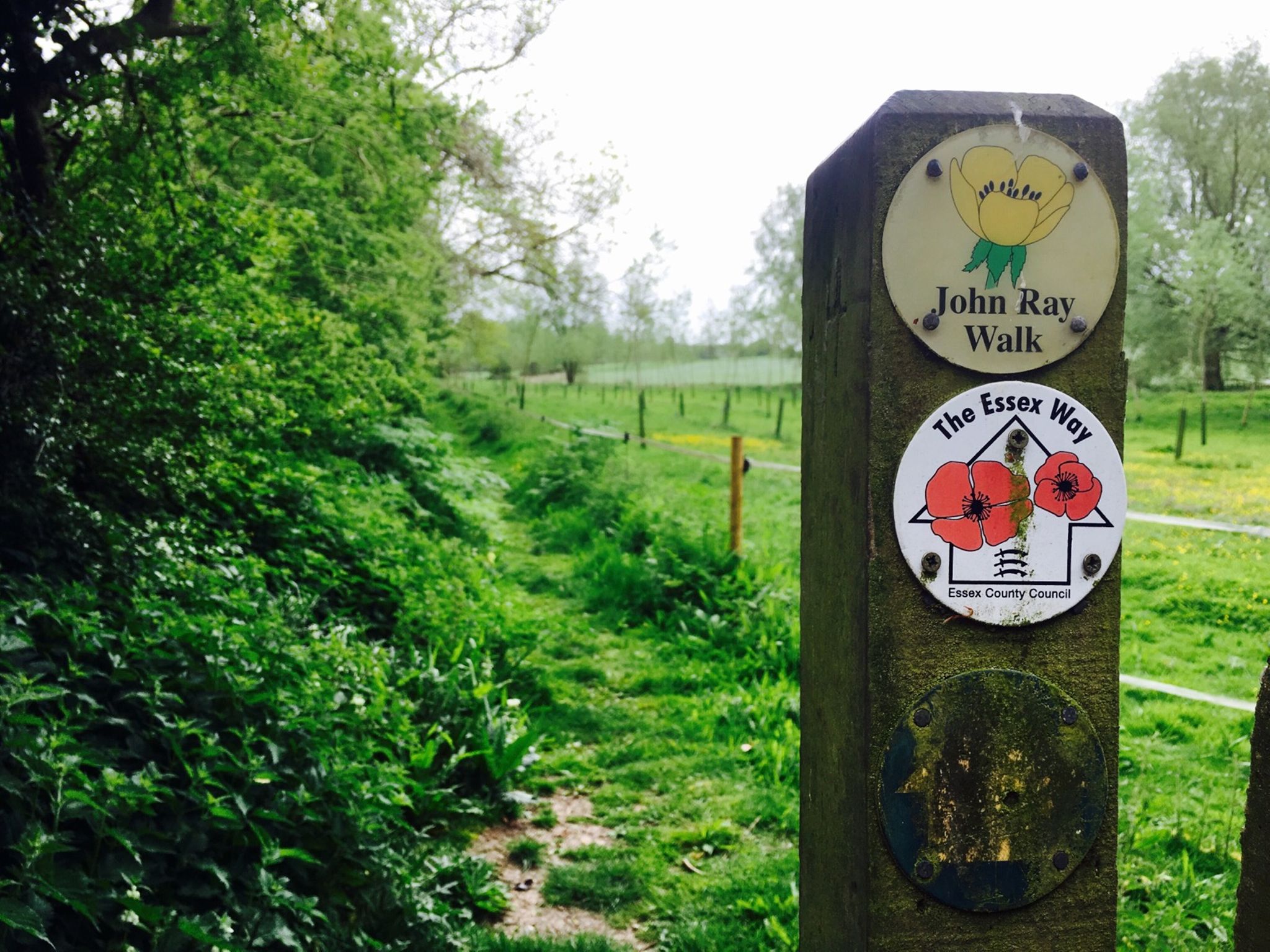 Trail Run 15th April - The John Ray Trail - Final Instructions - Witham ...